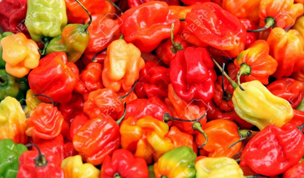 Fresh Pepper – African Shop